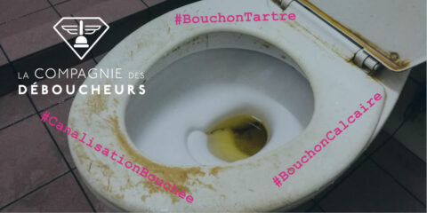 Débouchage Canalisation Tartre / Calcaire - lCdD